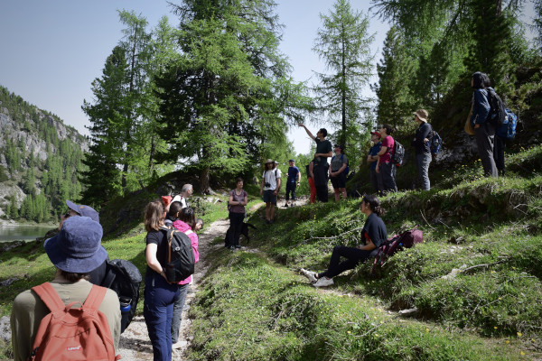 9th International training school in quantitative wood anatomy ...